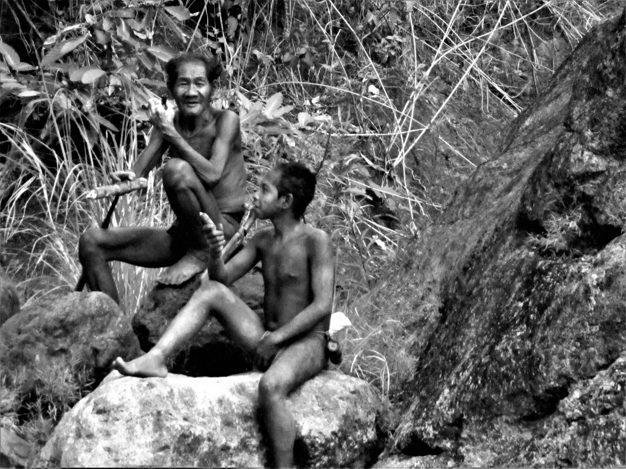 Continuing ignition practices have transformed Tau-Buhid Indigenous ...
