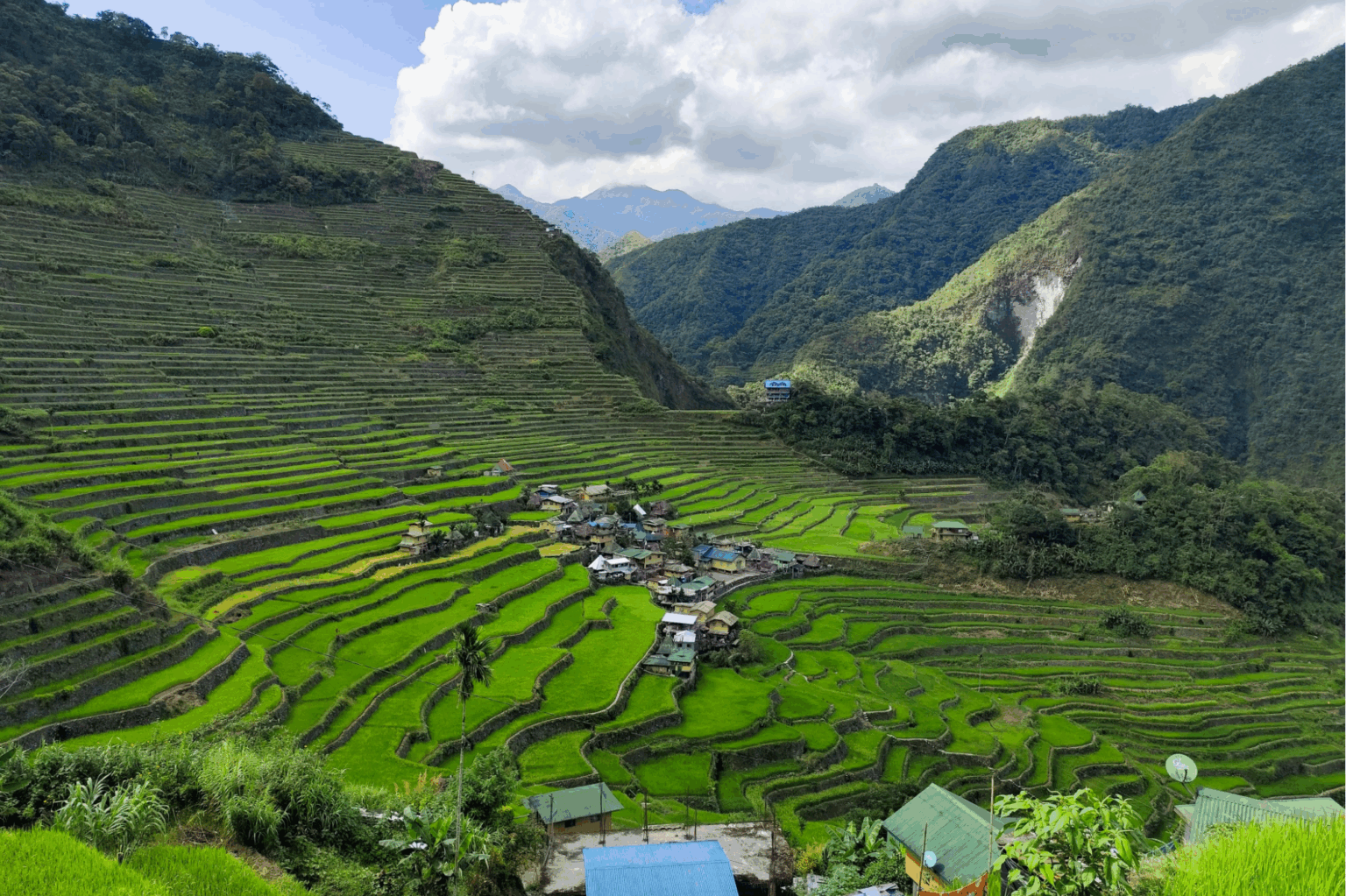 To preserve the Ifugao Rice Terraces, it is essential to integrate ...