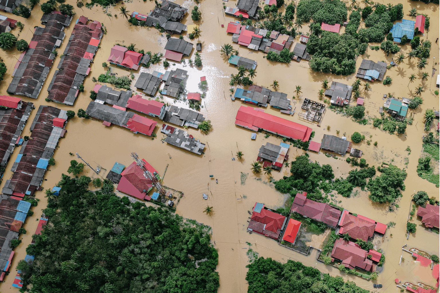 In a small island community, government shortcomings in post-disaster ...